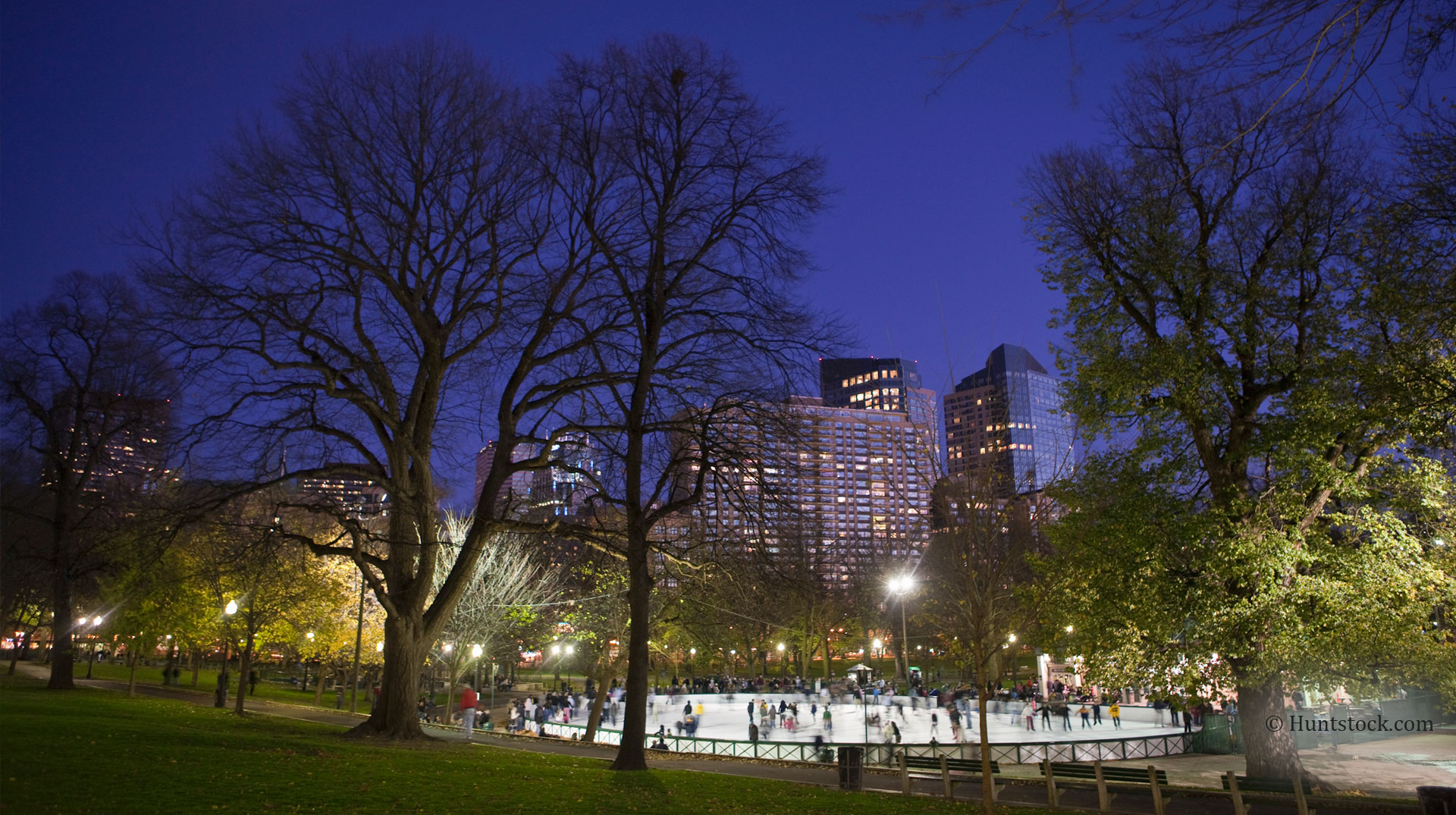 The Boston Common Frog Pond