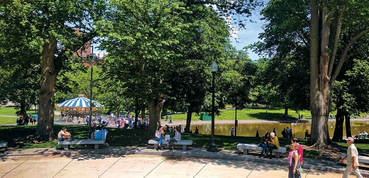The Boston Common Frog Pond
